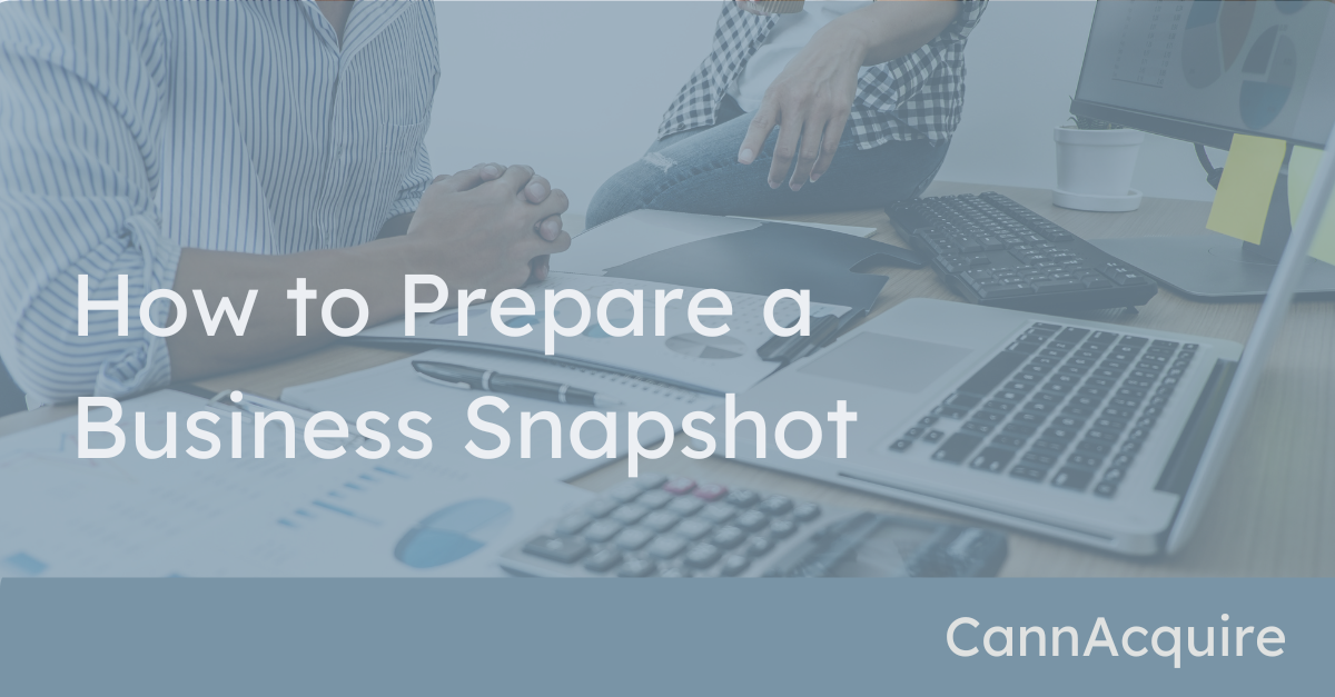 How to Prepare a Business Snapshot